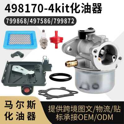 799868 498170化油器 for BS 799872 694202 497586 Carburetor