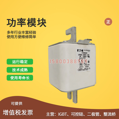 适用170M8630/8631/8632/8633/8634/8635/8636/8637快速保险丝熔