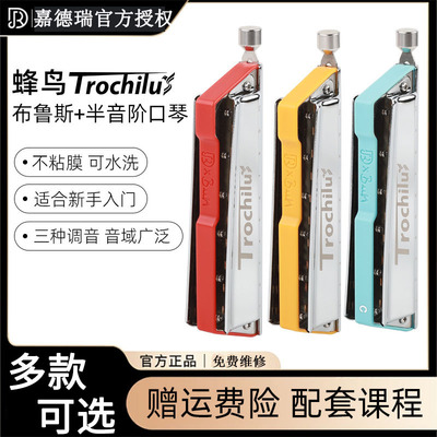 JDR嘉德瑞蜂鸟Trochilus10孔半音阶口琴布鲁斯十孔正品高端专业