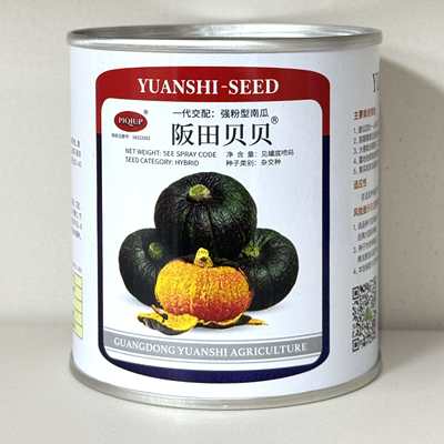 日本阪田贝贝南瓜种子早