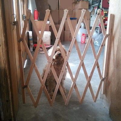 Dog Outdoor Safe Stairs Wooden Fence Easy Installation