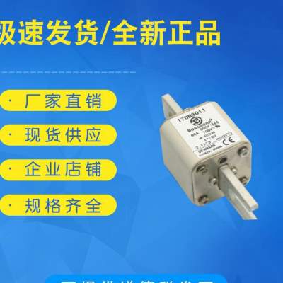 极速全新低压熔断器170M4008 170M4009 170M4010 170M4011保险丝
