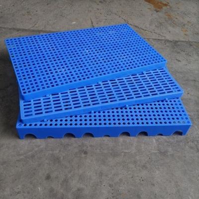 鸡舍狗笼底网板猪圈塑料地垫板鸽子鸭子鸡粪养羊用的养殖漏粪板