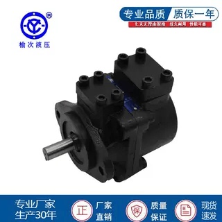 FENGTEHANGPFE-21现货叶片泵