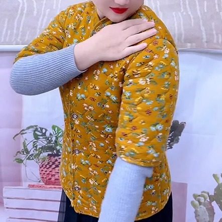 秋冬装网红棉马甲女大码中袖棉衣中老年加绒加厚马夹棉服外套妈妈