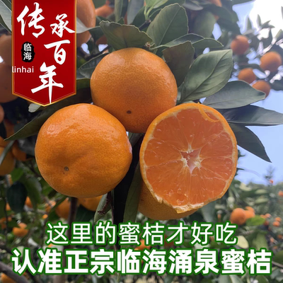 【商超专供】浙江涌泉无籽蜜桔应季新鲜水果青皮沃柑橘子超甜薄皮