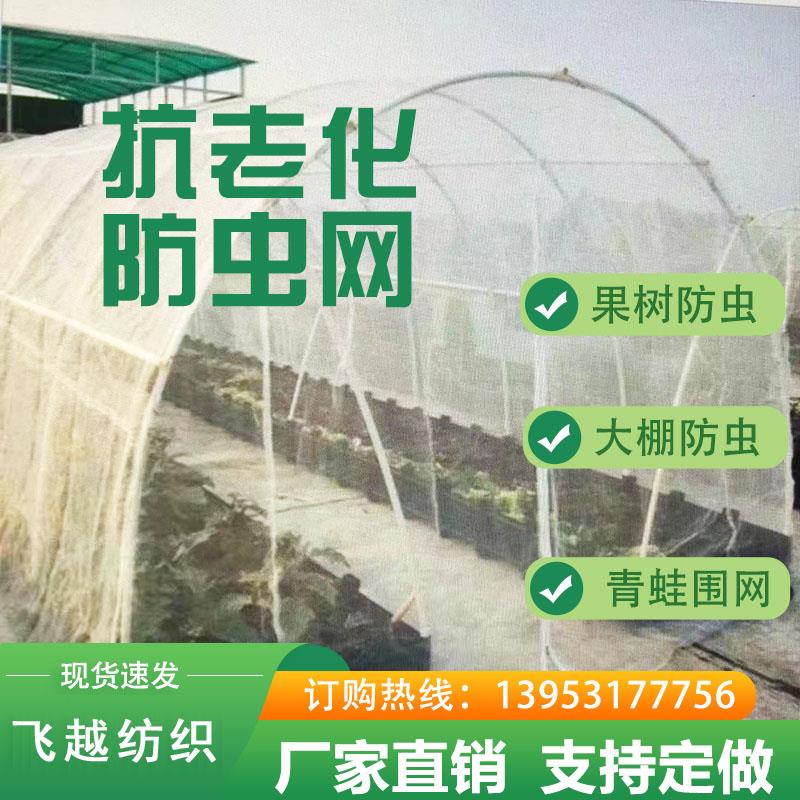 防虫网大棚专用农用蔬菜果园网猪场防蚊蝇网尼龙网养殖网加密加厚