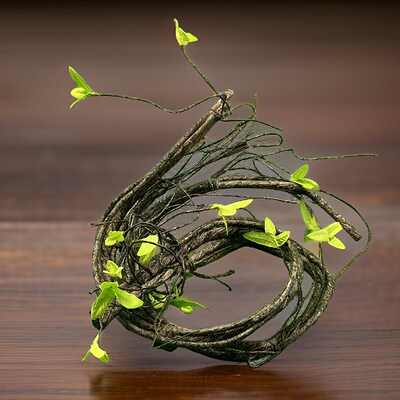 爬虫造景藤条树枝可弯曲百变造型睫角树蛙守宫雨林缸攀爬藤曼树藤