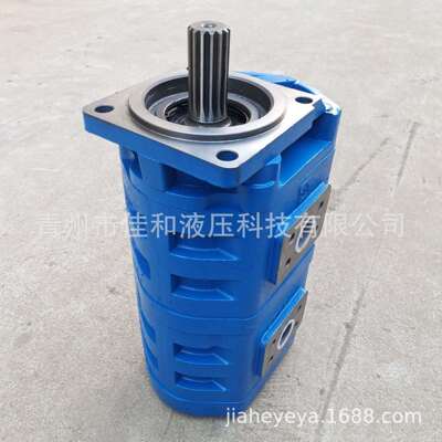 山东渔船双联泵CBGJ3140/3140广东渔船齿轮泵CBGJ3/3