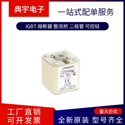 熔断器170M3418 3419 3420 3421 3422  3423  3424  3438 型号齐