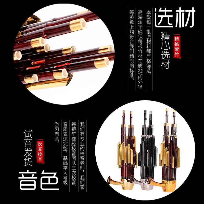 王家彪笙乐器专业14簧17簧21簧初学者紫竹圆方笙入门扩音演奏