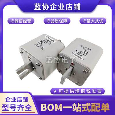 170M6087 170M6088 170M6089 170M6090 170M6091 170M6092熔断器
