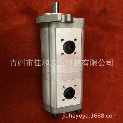东北除雪车环卫车液压双联泵CBK1020/08B3F