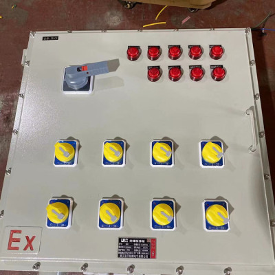 BZC8050-A2D2K1R1G壁挂式粉尘防爆防腐操作柱带电位器三防按钮箱