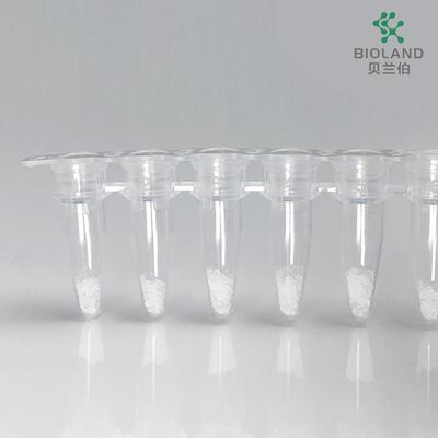 贝兰伯BiolandPCR冻干管PP材质可抽真空FD002-80.2ml