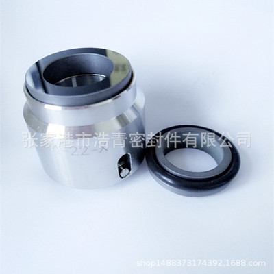 赛莱默LOWARA罗瓦拉15SV13F110T机械密封盾构机配套机封水封