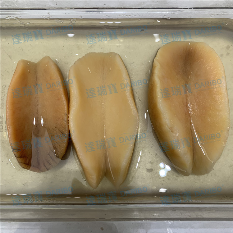 *多功能切肉机 小型移动商用切片切丝切粒机器 自动切肉机 厂销