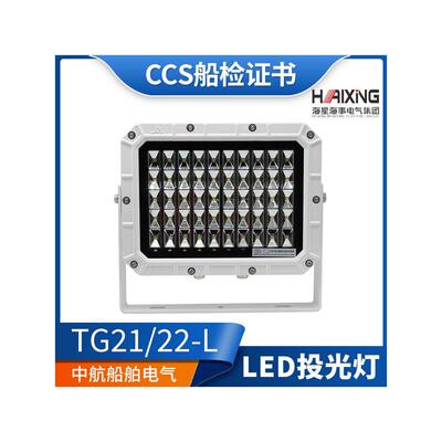 海星船用户外LED不锈钢投光灯射灯TG21/22/18-L探照灯CCS100W200W