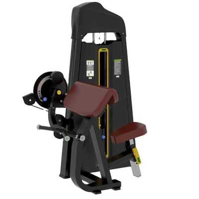 二头三头Entra?neur à deux têtes et trois têtes