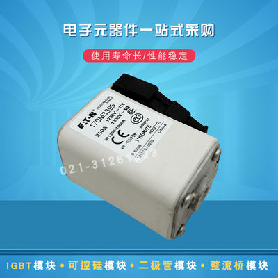 快速熔断器保险丝170M3469 3470 3471 3472 3473 3488 3489 3490