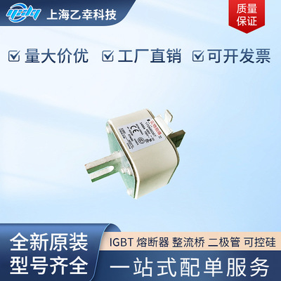 巴斯曼熔断器  170M6015 170M6016 170M6017 170M6018 170M6019