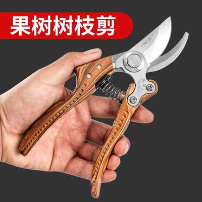 新款直销园林剪刀专业级果枝剪Pruning Shears锋利果树剪鸟嘴园林