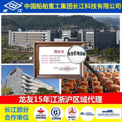 长江牌电动隔膜喷涂机便式漆推携车LDH喷款涂设备乳胶漆油电动喷