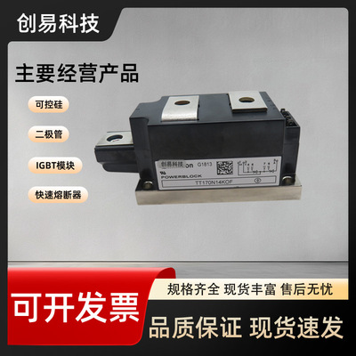 TT170N08KOF TT170N12KOF TT170N14KOF TT170N16KOF功率可控硅