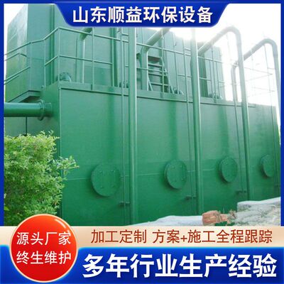 大型一体化净水设备农村饮用水自来水厂种植浸没式超滤水处理设备
