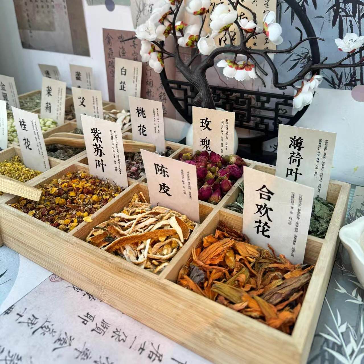 中医药店专用药材九宫格中草药收纳盒中药木格子中药展示盘木托盘