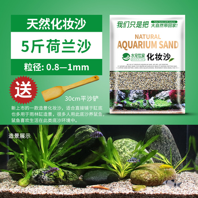 菲律宾沙底砂珊瑚砂化妆沙雨林砂草鱼缸造景白色沙底沙珊瑚贝壳沙