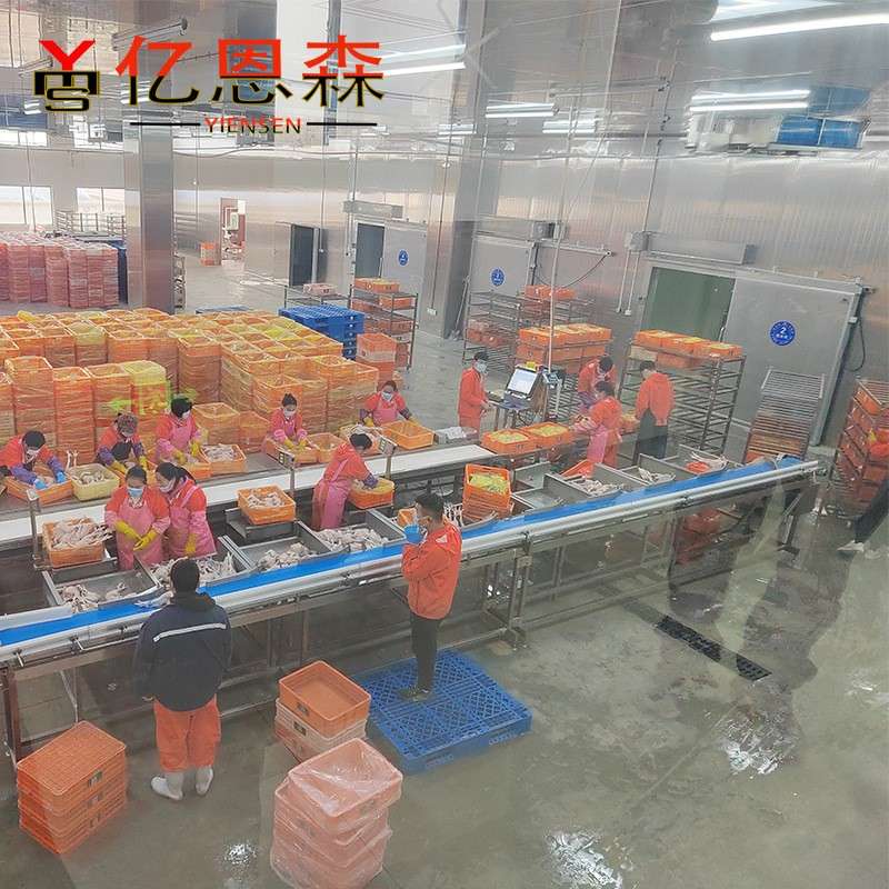 全自家禽屠宰流水线鸡屠宰设备家禽屠宰动机械杀鸡439线鸭鸭子