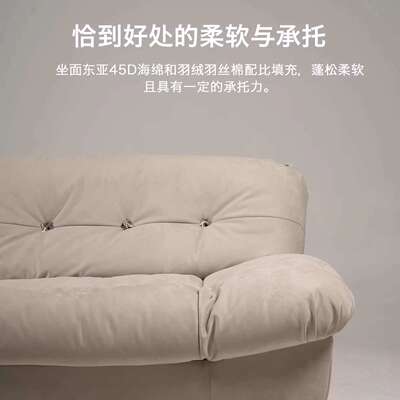 意式极简bax云er朵t004沙发大小户型客厅科技布人舒适懒羽绒布艺