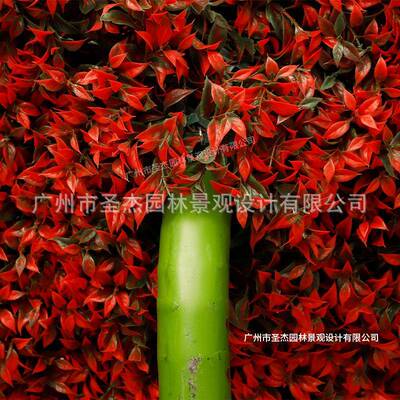 厂家装销售真绿雕花雕塑室外抗uv草皮饰园QKI林仿拆卸假绿植雕可