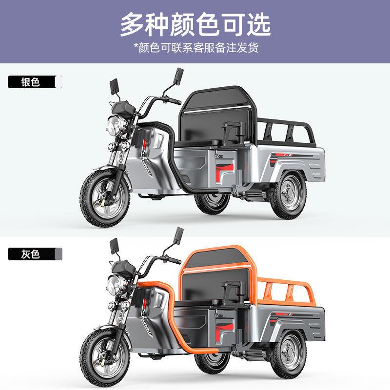 客载人用电动三轮车休可闲拉货两用电车家兜风车观光SK-63游览接