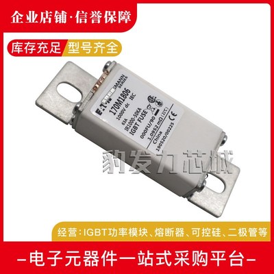 170M1760/1761/1762/1770/1771/1772/1773/1774/1775-1781熔断器