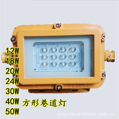 防爆DGS30 20 24 12 18 127L（A）矿用隔爆型LED方形巷道灯