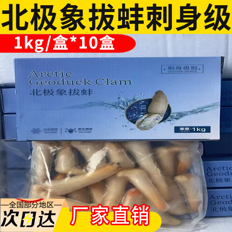 北极象拔蚌刺身级解冻切片即食1kg*10盒含冰象牙蚌商用日料店商用