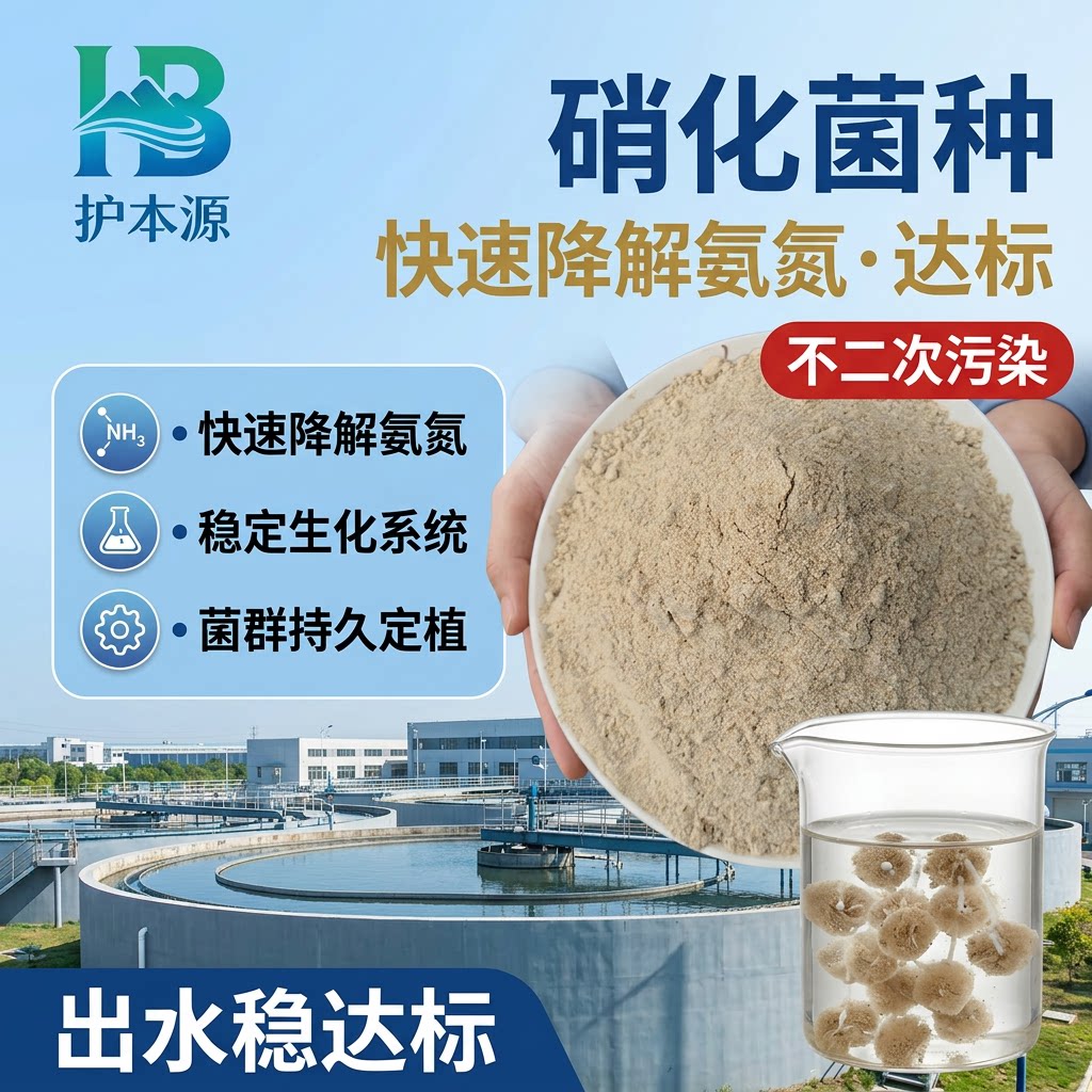 护本源硝化菌种快速降解氨氮污水处理菌剂稳定生化达标出水生化菌