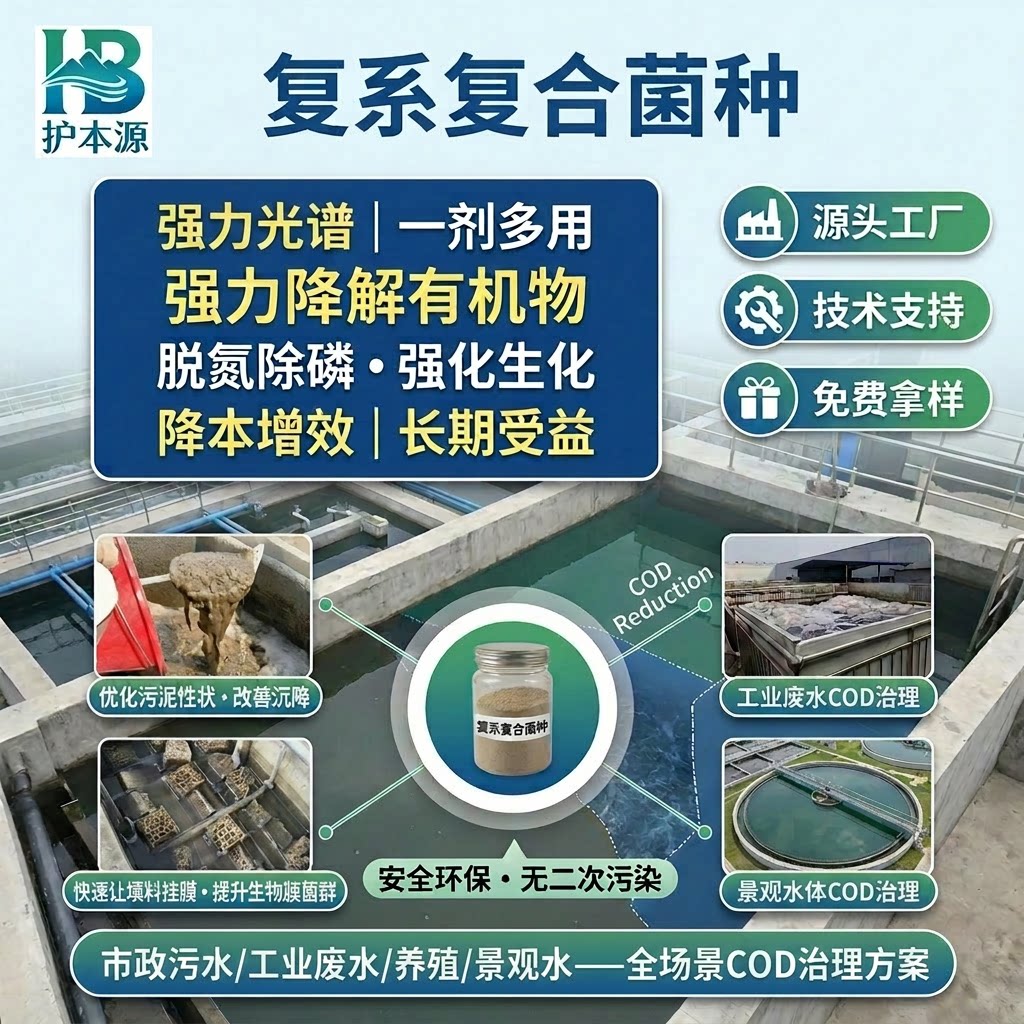 护本源复合菌种污水处理菌剂脱氮挂膜强化生化一剂多用COD治理