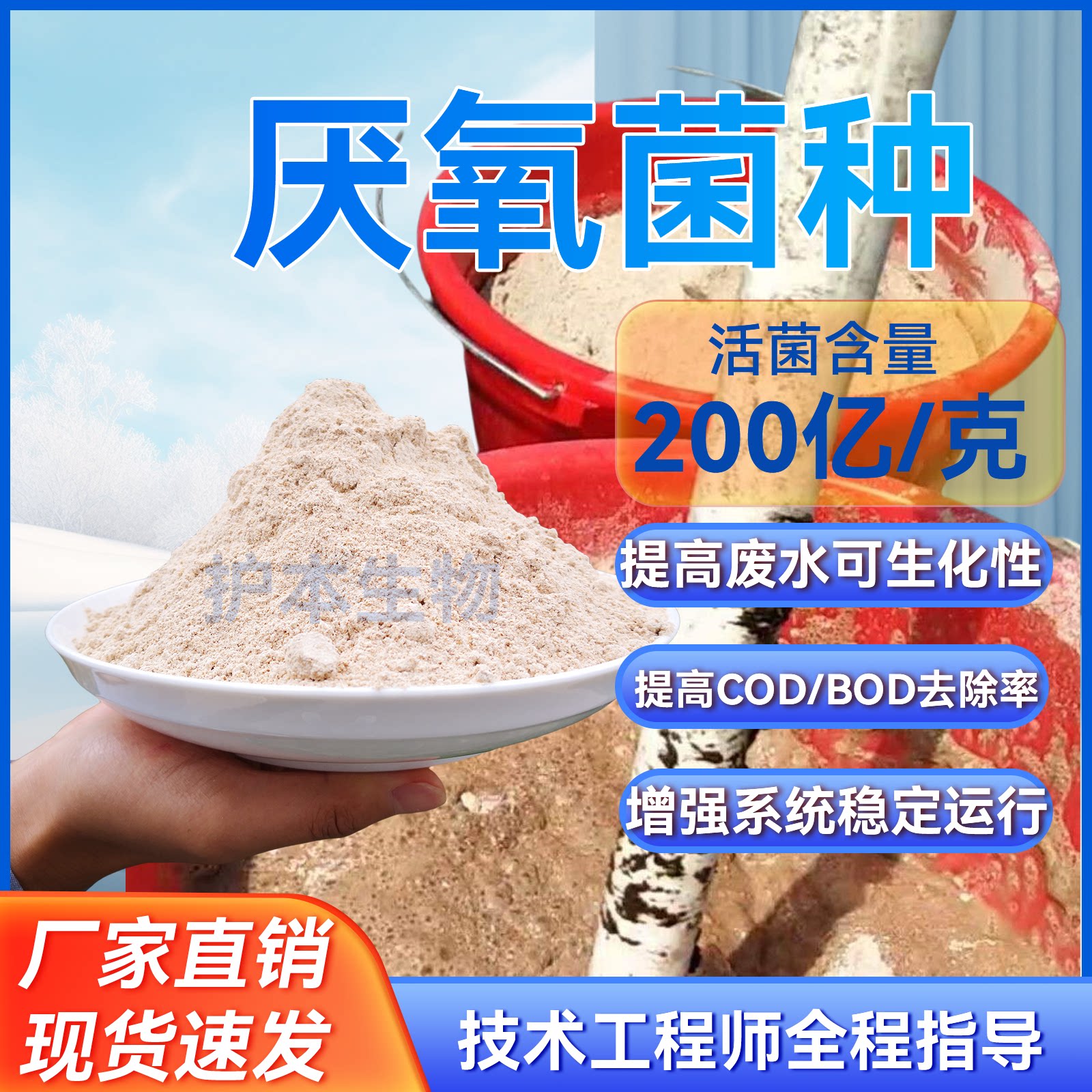 护本生物污水处理厌氧菌种水解酸化去除CODBOD活性污泥微生物菌剂