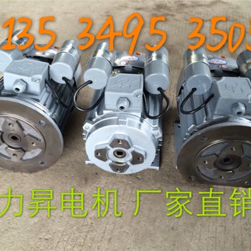 肇庆力升 单相双电容220v YL90L-4 冲孔机 HGP-1A液压油泵电机