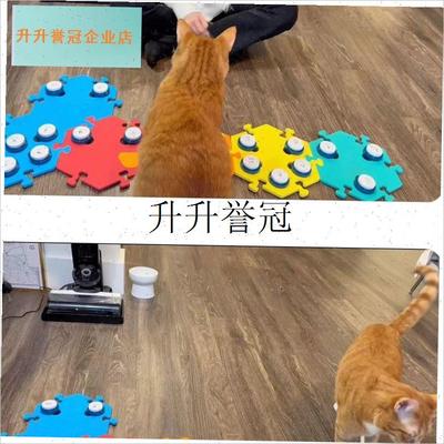 迷你声音按d钮记录猫和狗宠物说话按钮铃声训练语音通信猫表达装,