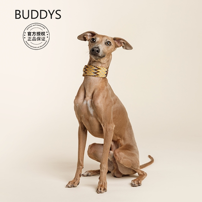 【buddys秘鲁波纹系列】西班牙进口宠物项圈狗脖圈牵引绳舒适柔软