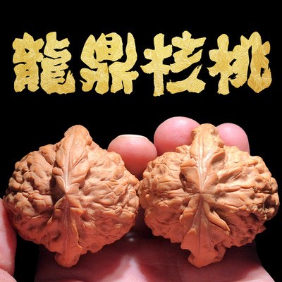 【龙鼎核桃】粗筋特大尺寸手把件