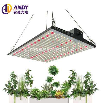 200W量子板植物灯lm301h EVO跨境电商款面板植物补光灯大棚生长灯