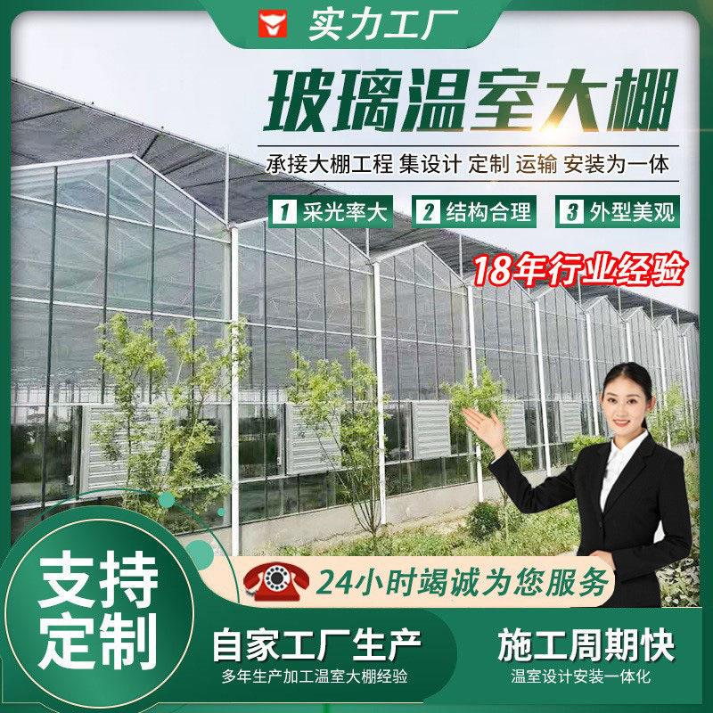 玻璃大棚 玻璃阳光板温室 大棚建设 园林种植大棚 玻璃温室大棚