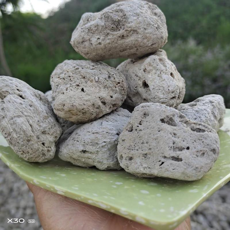 浮石轻石颗粒兰花多肉种植土兰花植料垫底介质园艺用品造景轻石