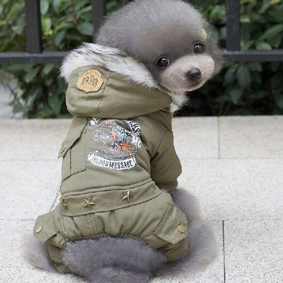 极速Pakaian untuk Anjing Kecil MCusim Gugur Musim Dingin Han