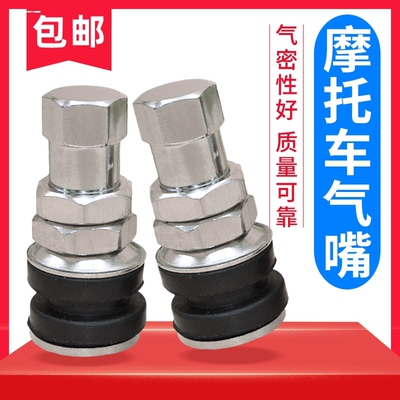 适用摩托车真空胎气门嘴 电动车真空胎气嘴 不锈钢直嘴161气嘴铁